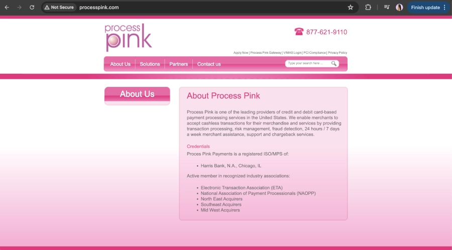 Should You Pick Process Pink Payments for Your Business?